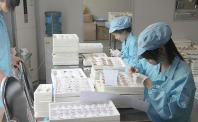Dong Guan Aopiqiu Watch Co., Ltd., factory production line 4