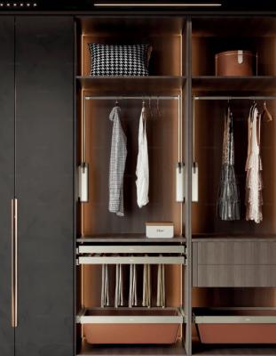 China Elegante Almirah Hanger Acessórios Suspensão Rack Guarda-Roupa Caixa Liner for sale
