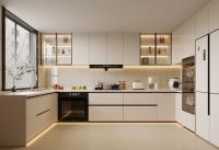 China Garden Kitchen Cabinets With Lacquer Door Panel Kitchen Wall Unit Custom for sale