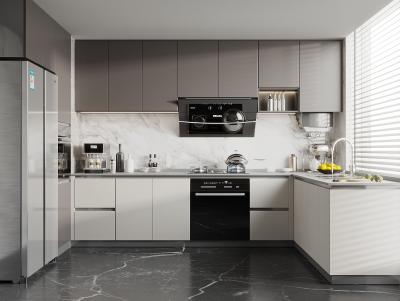 China Bathroom & Kitchen Wall Model Furniture Cupboard Pantry Aluminum Kitchen Cabinets for sale