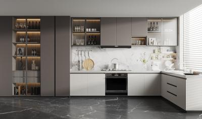 China Faceframe Design Shaker Door Cabinet Modern Kitchen with Door For Home for sale