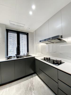 China Affordable Price Grain MDF Door Panel With Dtc Hinge Wood Kitchen Cabinet for sale