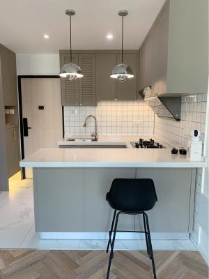 China Kitchen Pantry Cupboard Lacquer MDF Kitchen Cabinet Design From China for sale