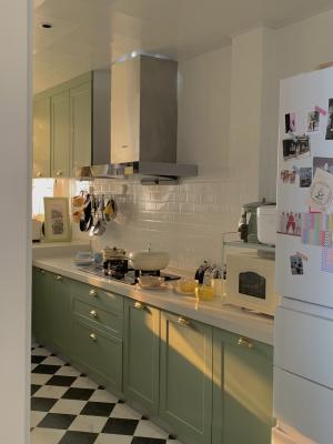 중국 오크 목자료 완장 방수 입자 보드 빌라용 부엌 캐비닛 판매용