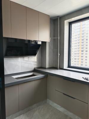 China Armário de cozinha em melamina com puxador de alumínio e bancada de quartzo à venda