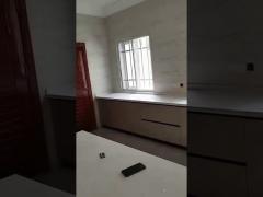 Finitura porta in acrilico per mobili da cucina contemporanei per ristrutturazioni domestiche eleganti