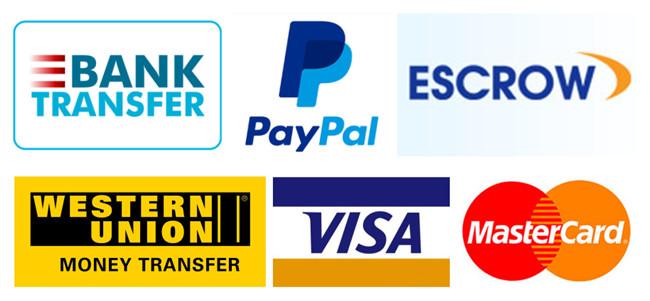 BOSCH Common Rail Injector Valve F00RJ01451, F 00R J01 451 , F00R J01 451