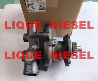China Cummins Water Pump 4299030 4299030X P4299030 for sale