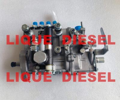 China Diesel Pump BH4QT95R9 kangda pump for sale