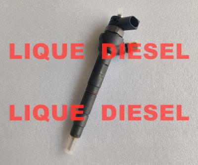 China BOSCH Fuel Injector 0445110646 0445110369 0445110647 0 445 110 646 0445110 646 0 445 110 369 0 445 110 647 for sale