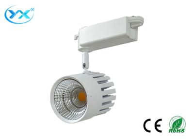 Cina >80 caldo di bianchi 100 x 167 di Dimmable 30w LED della luce domestica della pista di millimetro OEM di Istruzione Autodidattica in vendita