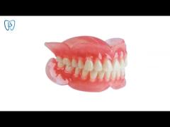 Flexible Acrylic Denture Dental Lab Digital 3D Printed Resin