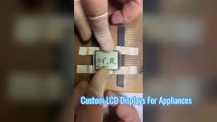 Custom TN Segment LCD Display 15 Pins Reflective Positive for Timers and Appliances