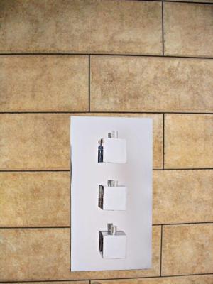 China 2 Outlet Vertical Thermostatic Shower Mixing Valve With 1/4 Turn Ceramic Cartridge Valve for sale