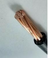 China Sheathed PVC Insulated Single Core Cable ,  Shielded Cable Wire 450V for sale
