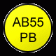 F1554 Grade 55