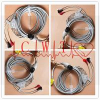 China 989803166311 3 Lead Ecg Cable , PHiliph Goldway Ecg Trunk Cable for sale