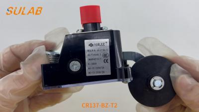 China CR137-BZ-T2 Heavy-Duty Limit Switch with IP67 Rating, 2×SPDT Snap-Action Contacts and Steel Roller Lever for sale
