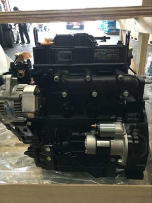 Cina Nuovamente lanciato parte del motore dell'escavatore assemblaggio completo del motore 3TNV88 3TNV84 in vendita