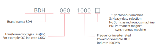 BDH VFD Technical Diagram