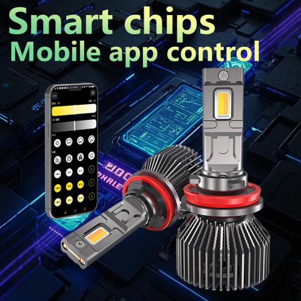 Quality H11 APP Controlled Tri Color Car LED Headlight Dual Copper Cooling 6800LM IP68 12V for sale
