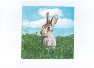 Cina OEM 18gsm Bunny Rabbit Printed Paper Napkin per nozze in vendita