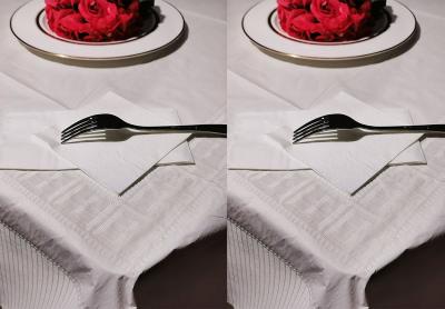 China Hotel del banquete de los 274CM Retangular 	Manteles del papel del partido una cubierta del calendario limpia en venta
