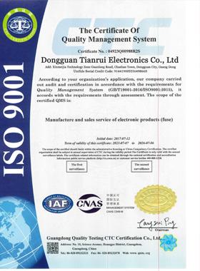 ISO9001 - Dongguan Tianrui Electronics Co., Ltd