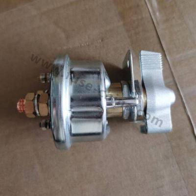 Cina 75900 75904-12 Interruttore staccabatteria principale DPST serie 36V ad alta amperaggio a doppio polo in vendita