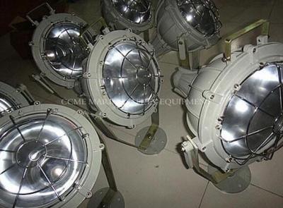 China marine Incandescent Pendant Light for sale