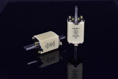 China LV - FUSE - LINK WITH KNIFE CONTACTS / SQUARE BODY DIN  HIGH SPEED FUSE 690V for sale