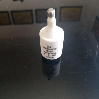 China Late Rain Screw In Plug Fuses , Tamper Proof Fuses And Fuse Adapters RO21 for sale