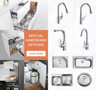 Cina Accessori modulari di lusso moderni americani degli armadi da cucina di acciaio inossidabile in vendita