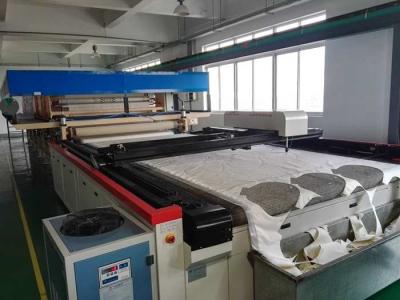 Cina Tagliatrice del laser del tessuto dell'airbag con l'alimentatore automatico/tagliatrice dorata del laser in vendita