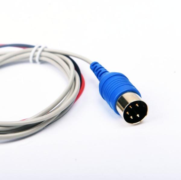 Stimulation And Recording Loop Electrodes With 5 Pole Connection Cable