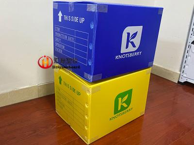 China Caixa plástica ondulada reusável amarela resistente à venda
