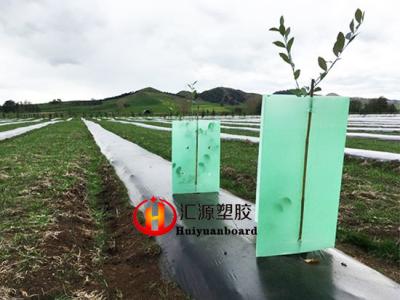 China Triangular Fireproof 600gsm Corflute Plant Guards for sale