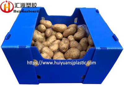 China Groentenvruchten pp Golf Plastic Opslagdozen Te koop
