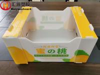 China Watermark Printing Correx Packaging Boxes For Fruits for sale