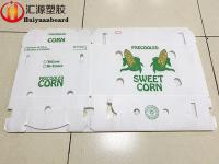 China Eco Friendly Corrugated Plastic Packaging Boxes , Recyclable Corflute Storage Boxes for sale