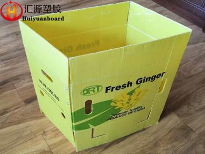 China Stoßfeste gewölbte Kunststoffgehäuse-Kästen für frischen Ingwer zu verkaufen