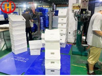 China Os totalizadores recicláveis de Correx impactam - 750gsm resistente corrugou o plástico à venda