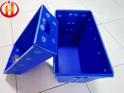 China 5mm runzelten Plastiktotalisatoren stapelbares stoßfestes recyclebares Corflute zu verkaufen