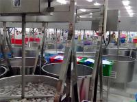China Automatic Shrimp Soaking Machine SUS304 Seafood Processing Line for sale