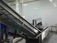 China 2.2KW Shrimp Processing Machine 380V Fish Processing Plant Equipment for sale