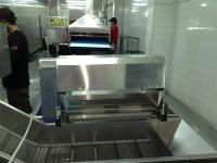 China 2.2KW Shrimp Processing Machine 380V Fish Processing Plant Equipment for sale