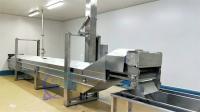China Continuous Shrimp Steamer Machine 380v Seafood Processing Equipment for sale