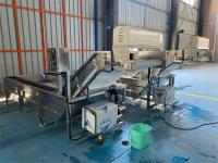 China Automatic Shrimp Cleaning Machine Seafood Bubble Cleaning Machine for sale