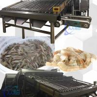 China Customizable Prawn Grader Automatic Shrimp Processing Equipment for sale