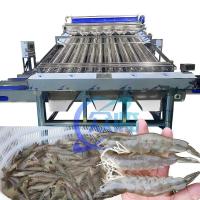 China Customizable Prawn Grader Automatic Shrimp Processing Equipment for sale